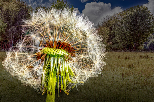 Ralph Lear Fotos, Bilder, Stockmedien | Adobe Stock