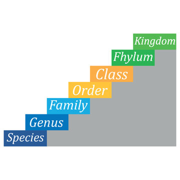 "Biological Classification" Images – Browse 20,257 Stock Photos ...