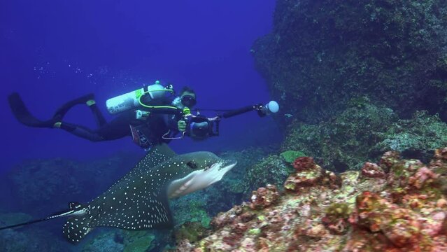 Narinari Images – Browse 538 Stock Photos, Vectors, and Video | Adobe Stock