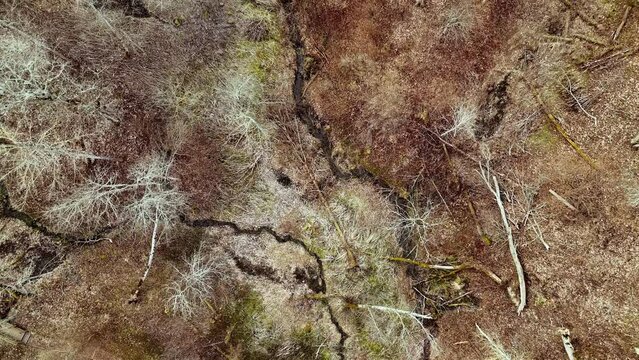 "Dry Cracked Earth" Images – Browse 207 Stock Photos, Vectors, and ...