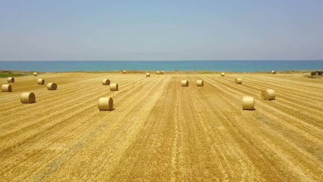 "Hay Fields" Images – Browse 540 Stock Photos, Vectors, and Video | Adobe Stock