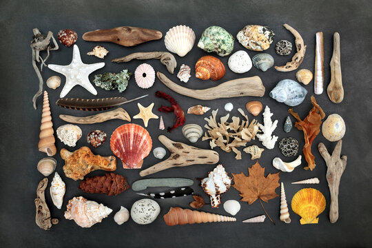 "Natural Objects" Images – Browse 1,537 Stock Photos, Vectors, and ...