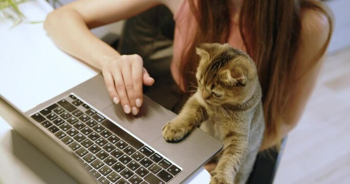 Funny Multitasking Woman Images – Browse 1,198 Stock Photos, Vectors ...