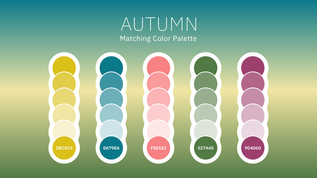 Color Guide Images – Browse 126,148 Stock Photos, Vectors, and Video ...