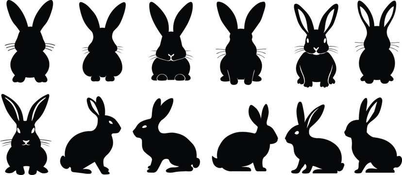 "Rabbit Clipart" Images – Browse 1,128 Stock Photos, Vectors, and Video ...