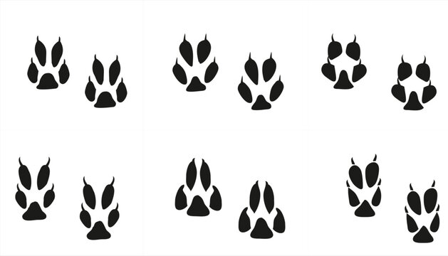 Rabbit Paw Prints Images – Browse 8,876 Stock Photos, Vectors, and ...