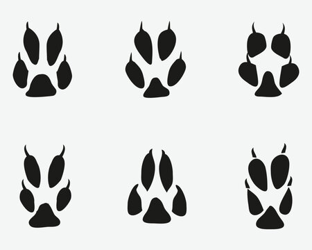 Rabbit Paw Prints Images – Browse 8,153 Stock Photos, Vectors, and ...