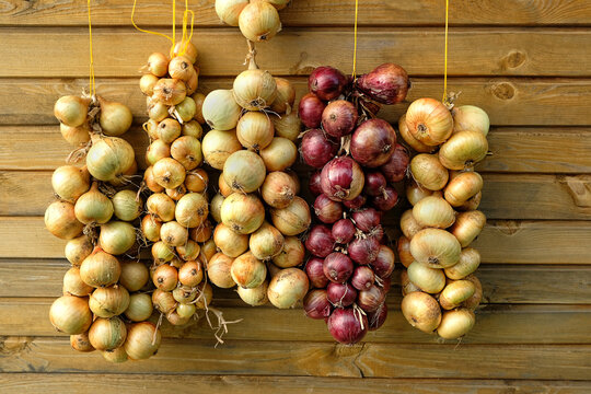 "Ripe Onions" Images – Browse 52 Stock Photos, Vectors, and Video ...