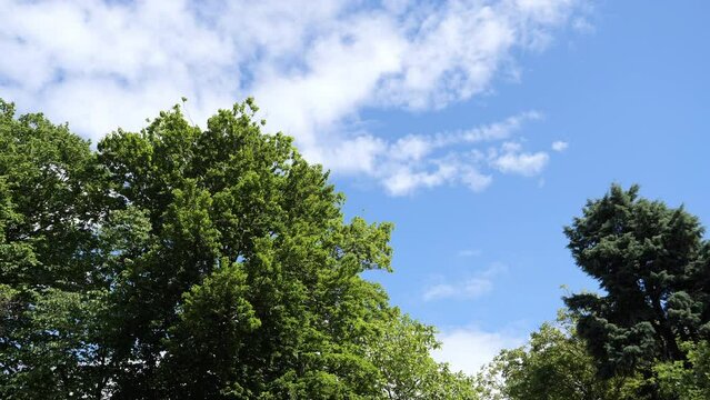 "Gentle Wind"-Bilder: Stock-Fotos & -Videos. | Adobe Stock