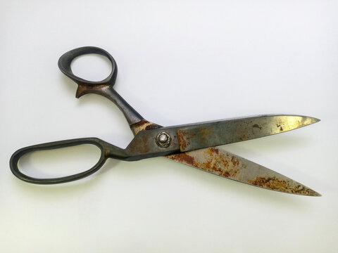 "Pair Of Scissors" - Images et vidéos libres de droits | Adobe Stock