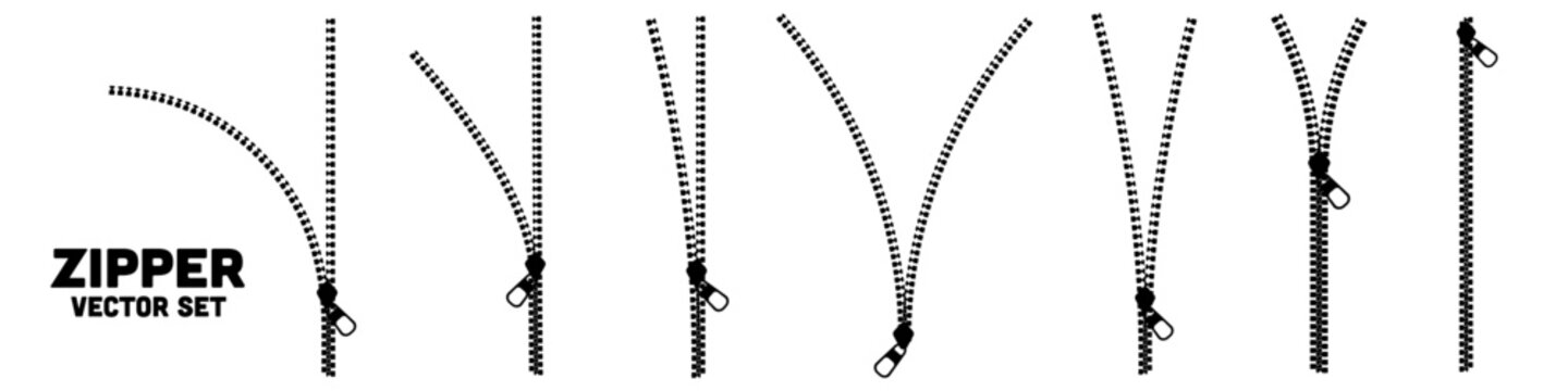 Zipper Vector