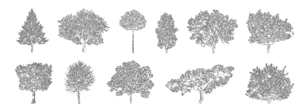 Treeline Vector Images – Browse 18,113 Stock Photos, Vectors, and Video ...