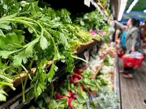 "Picking Produce" Images – Browse 49 Stock Photos, Vectors, and Video ...