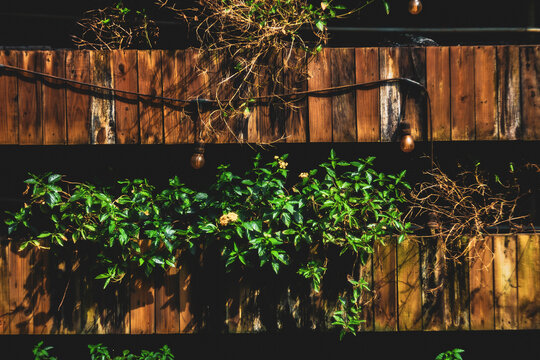 Picure Images – Browse 1,001 Stock Photos, Vectors, and Video | Adobe Stock