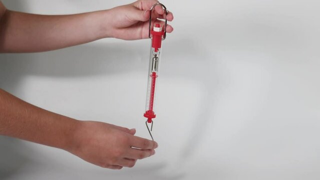 "Spring Balance" Images – Browse 950 Stock Photos, Vectors, and Video ...