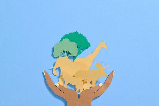 "World Environment Day" Images – Browse 86,892 Stock Photos, Vectors ...