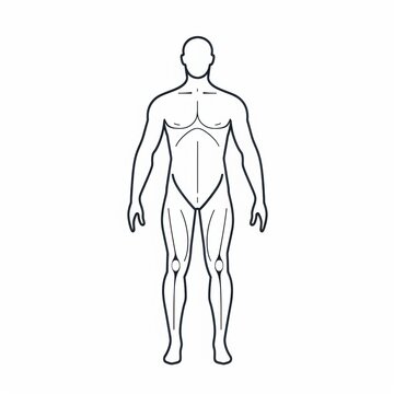 Drawing Of Human Images – Browse 7,912,081 Stock Photos, Vectors, and ...