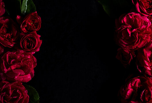 Red Roses Border Images – Browse 113,784 Stock Photos, Vectors, and ...