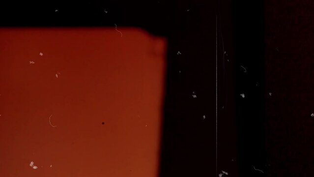 "Scratch Film" Images – Browse 1,230 Stock Photos, Vectors, and Video ...