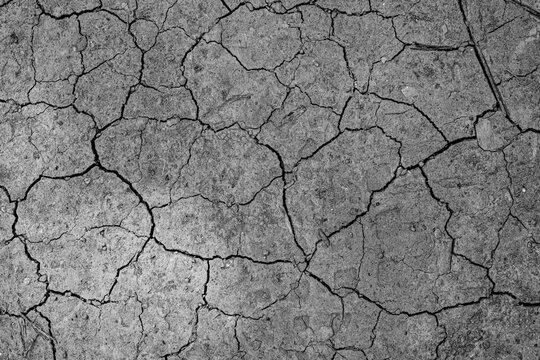 Cracked Soil Images – Browse 317,005 Stock Photos, Vectors, and Video ...