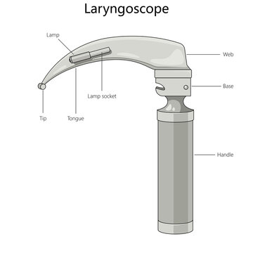 รูปภาพLaryngoscopes – เลือกดูภาพถ่ายสต็อก เวกเตอร์ และวิดีโอ1,701 ...