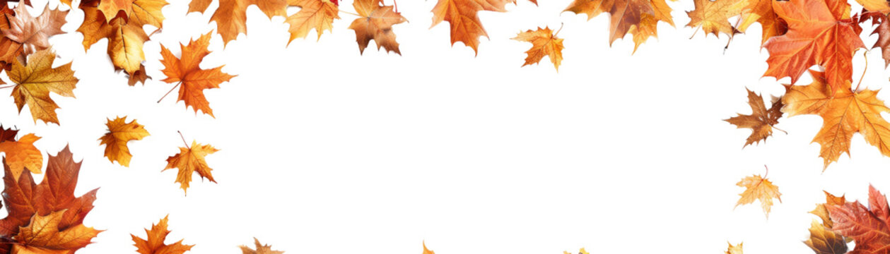 Fall Transparent Background