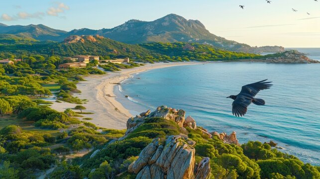 "Coastal Vegetation" Images – Browse 1,625 Stock Photos, Vectors, and ...