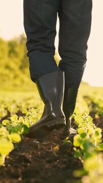 Sharecropper Images – Browse 1,325 Stock Photos, Vectors, and Video ...