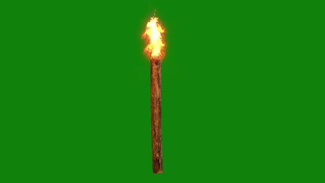 "Flaming Torch" Images – Browse 6,214 Stock Photos, Vectors, and Video ...
