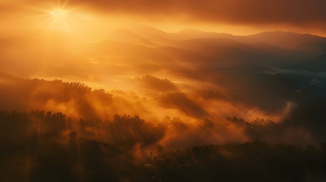 "Good Morning Images – Browse 10,393,670 Stock Photos, Vectors, and ...