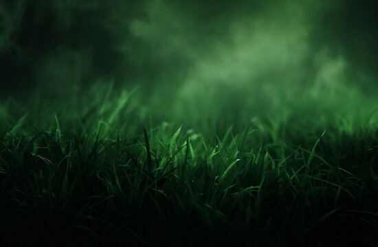Dark green grass store