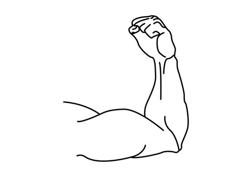 รูปภาพ"Brazo – เลือกดูภาพถ่ายสต็อก เวกเตอร์ และวิดีโอ7,324 | Adobe Stock