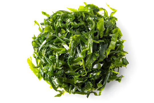 "Nori Seaweed"-Bilder: Stock-Fotos & -Videos. | Adobe Stock