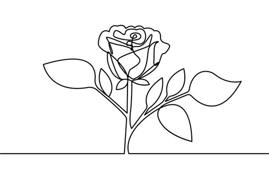 Single Flower Drawing Images – Browse 754,393 Stock Photos, Vectors ...