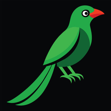 "Common Green Magpie" Images – Browse 322 Stock Photos, Vectors, and ...