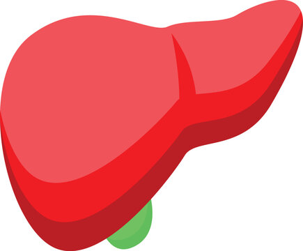 Hepatobiliary Images – Browse 431 Stock Photos, Vectors, and Video ...