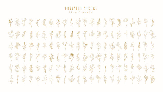 merfin photos, images, assets | Adobe Stock