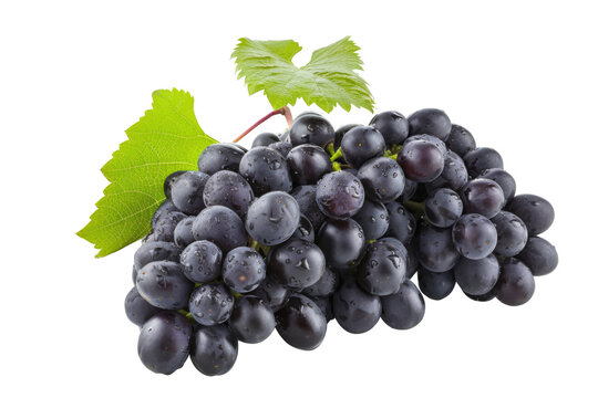 「固める」の写真素材 | 4,310,065件の無料イラスト画像 | Adobe Stock