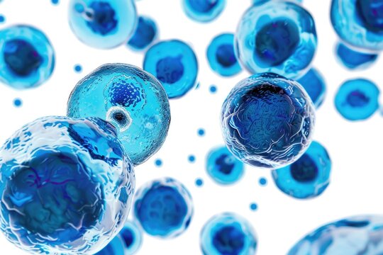 "Stem Cell" Images – Browse 23,792 Stock Photos, Vectors, and Video ...