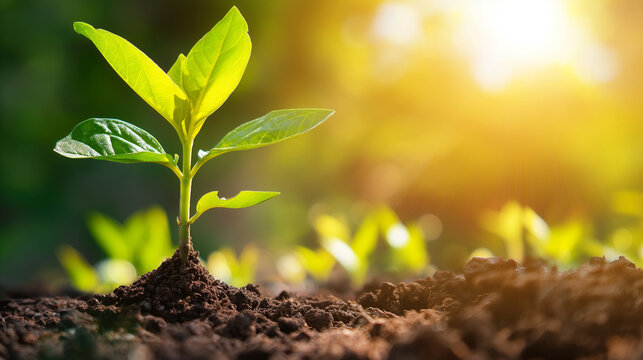 "Community Development" Images – Browse 8,946 Stock Photos, Vectors ...