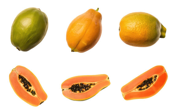 How Many Varieties Of Papaya