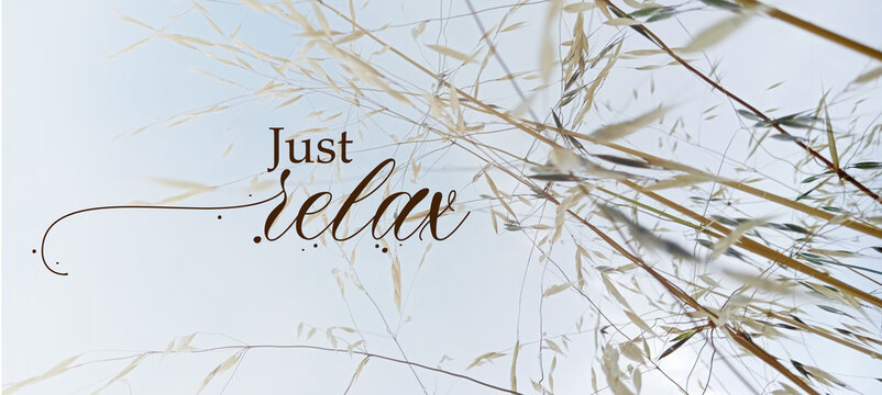 "Just Relax" Images – Browse 389 Stock Photos, Vectors, and Video ...