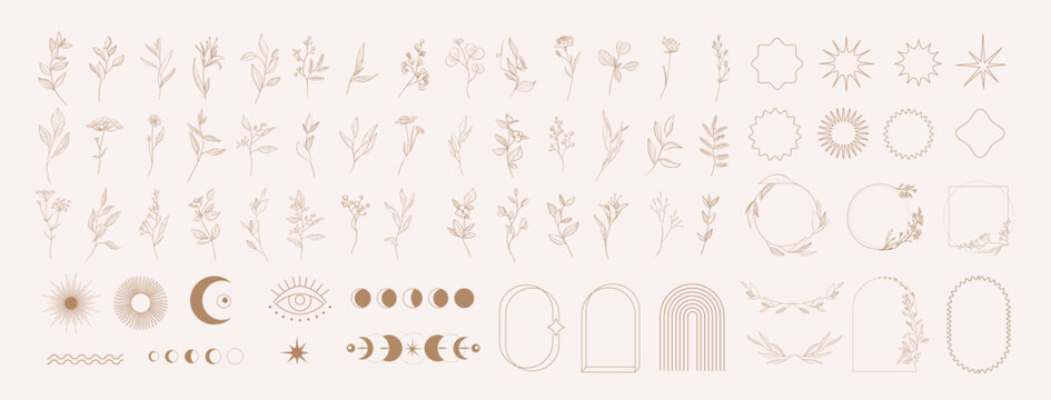 merfin photos, images, assets | Adobe Stock