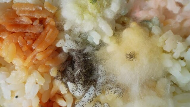 "Mold Texture" Images – Browse 77 Stock Photos, Vectors, and Video ...