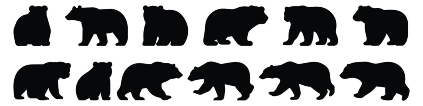 Bear Clip Art Black And White