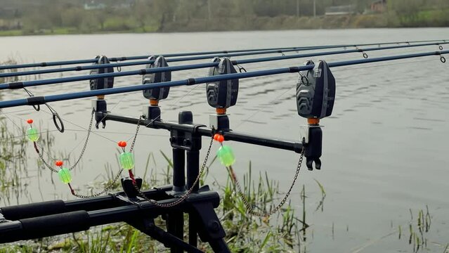 "Carp Fishing" Images – Browse 21,755 Stock Photos, Vectors, and Video ...