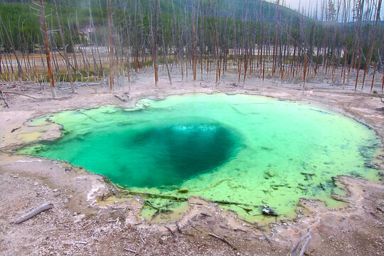 "Cistern Spring"-Bilder: Stock-Fotos & -Videos. | Adobe Stock