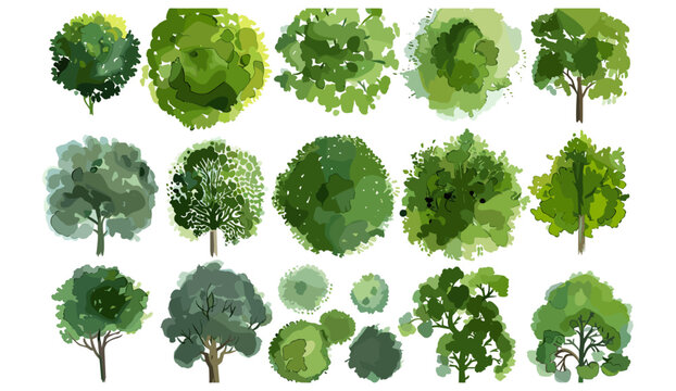 Tree Plan Drawings Images – Browse 66,289 Stock Photos, Vectors, and ...