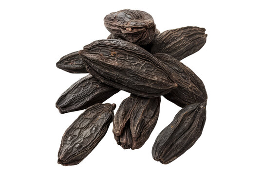 Tonka Bean"」の写真素材 | 1,097件の無料イラスト画像 | Adobe Stock