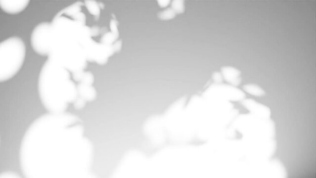 "Shadow Overlay" Images – Browse 9,269 Stock Photos, Vectors, and Video ...
